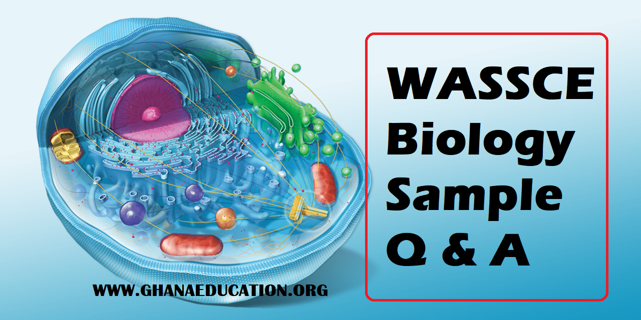 visible-body-3d-biology-learn-social-min - Ghana Education News visible-body-3d-biology-learn-social-min - Ghana Education News