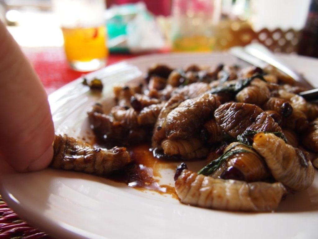 Palm Weevil, a delicacy to taste: Nutrients and cooking methods