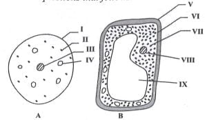 100 Integrated Science Questions And Answers For 2025 BECE