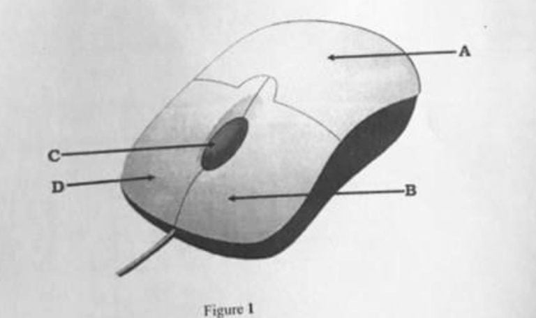 2023 Likely BECE ICT Questions And Answers