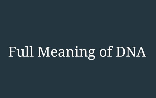 Full Meaning Of DNA And Everything You Need To Know - Ghana Education News