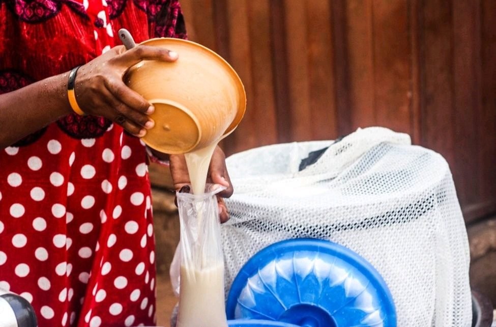 Stop Drinking ‘hausa Koko From Rubber Is Dangerous For Your Health Ghana Education News